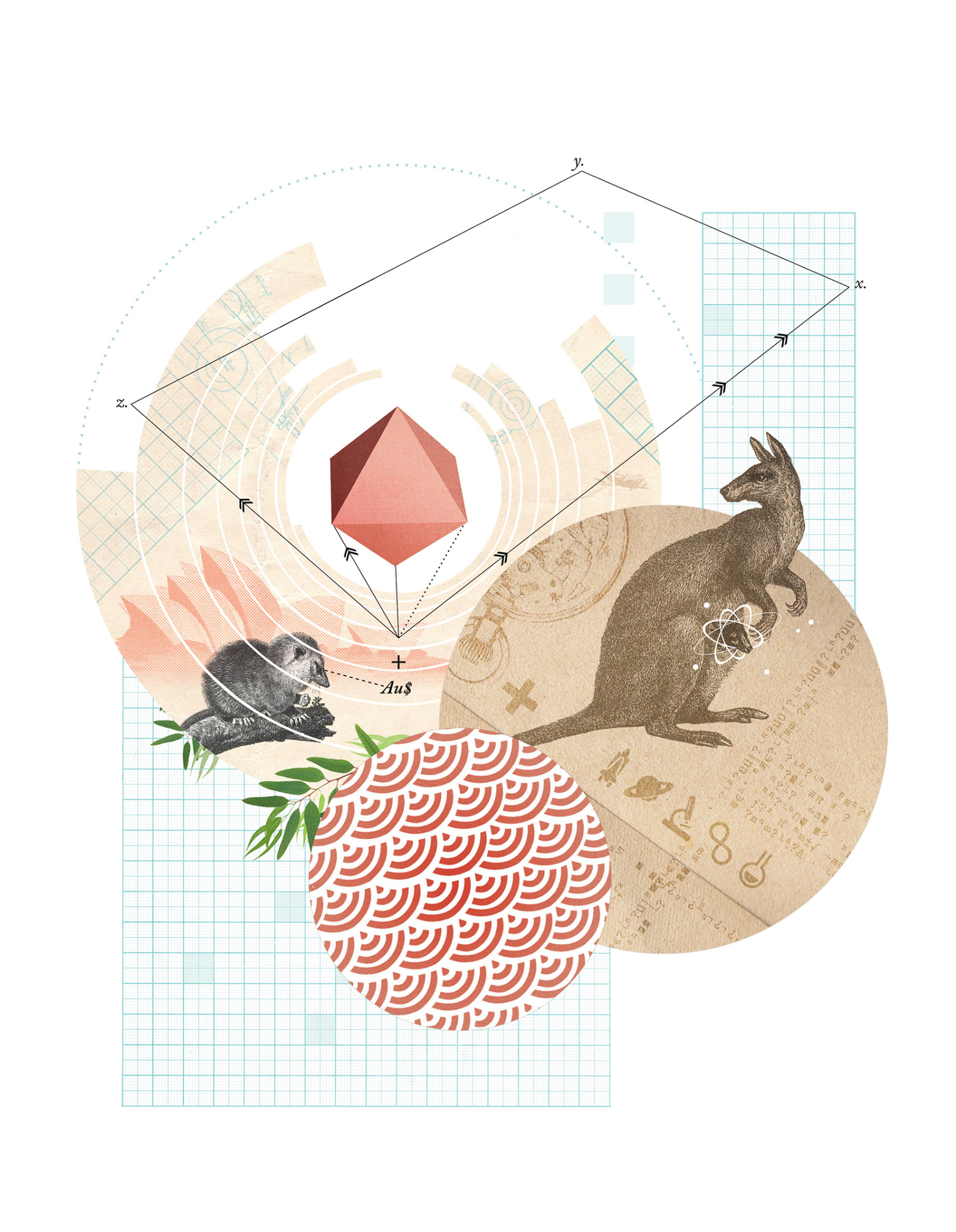 Australian Research Council Series - Orlagh Murphy Illustration