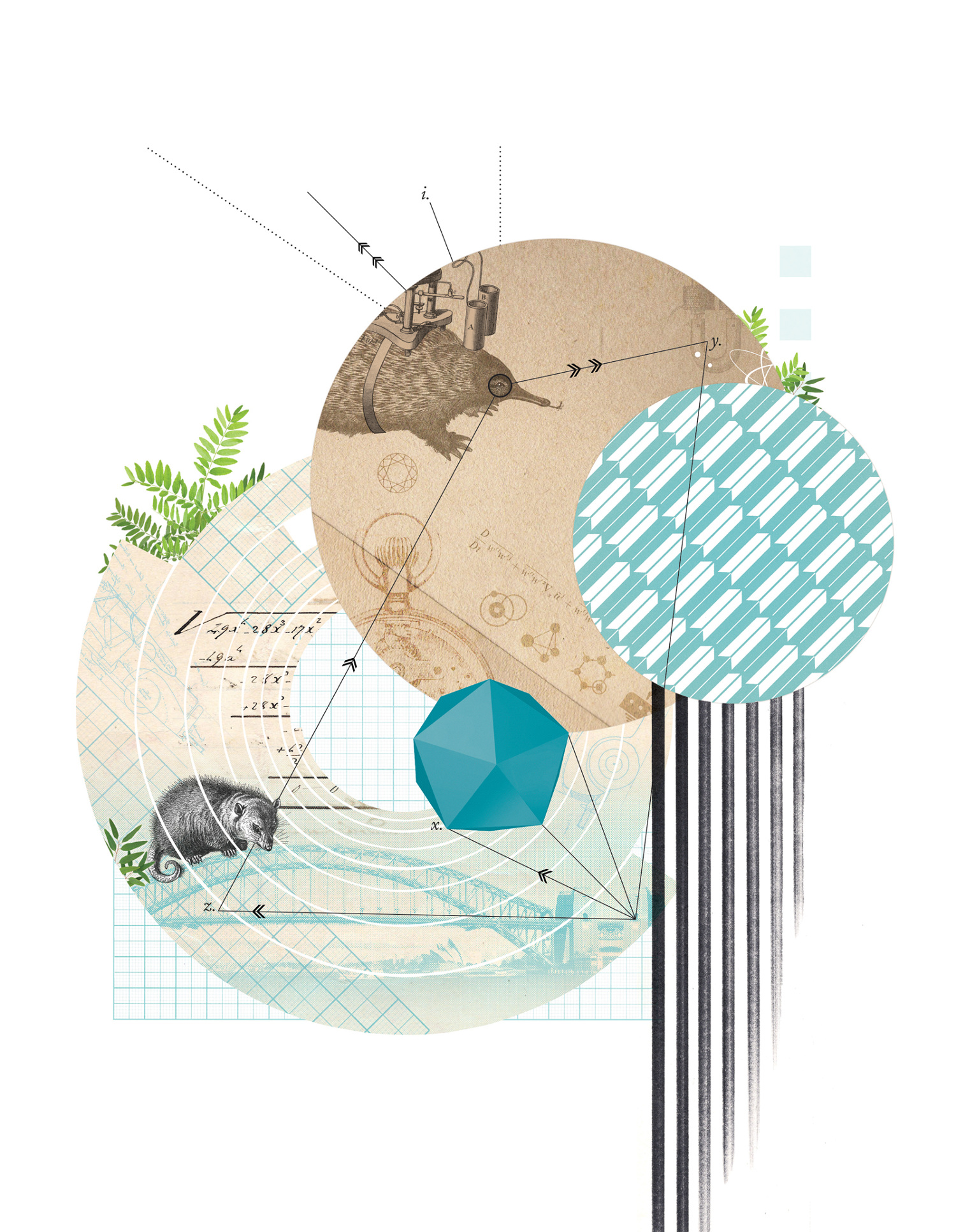 Australian Research Council Series - Orlagh Murphy Illustration