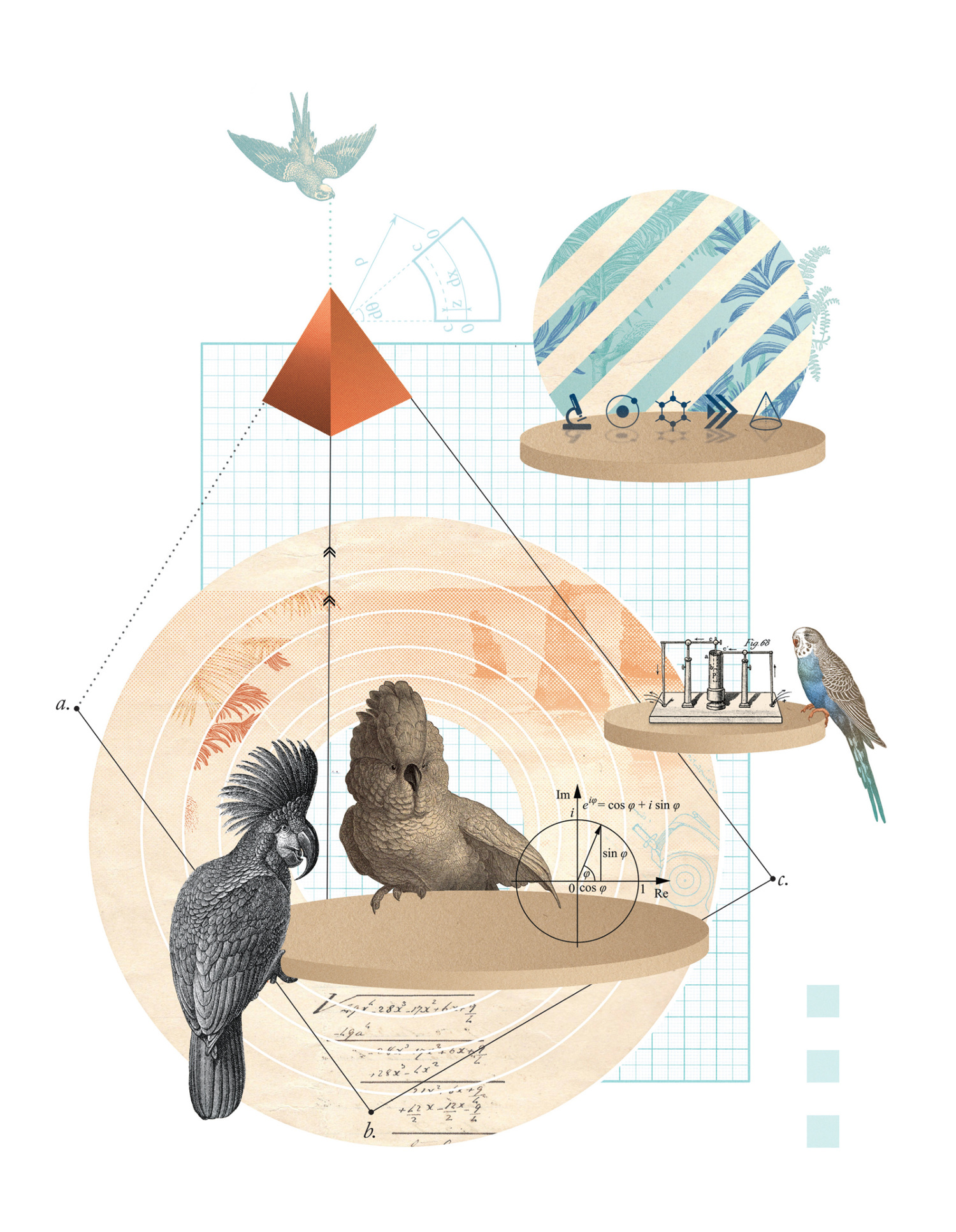 Australian Research Council Series - Orlagh Murphy Illustration